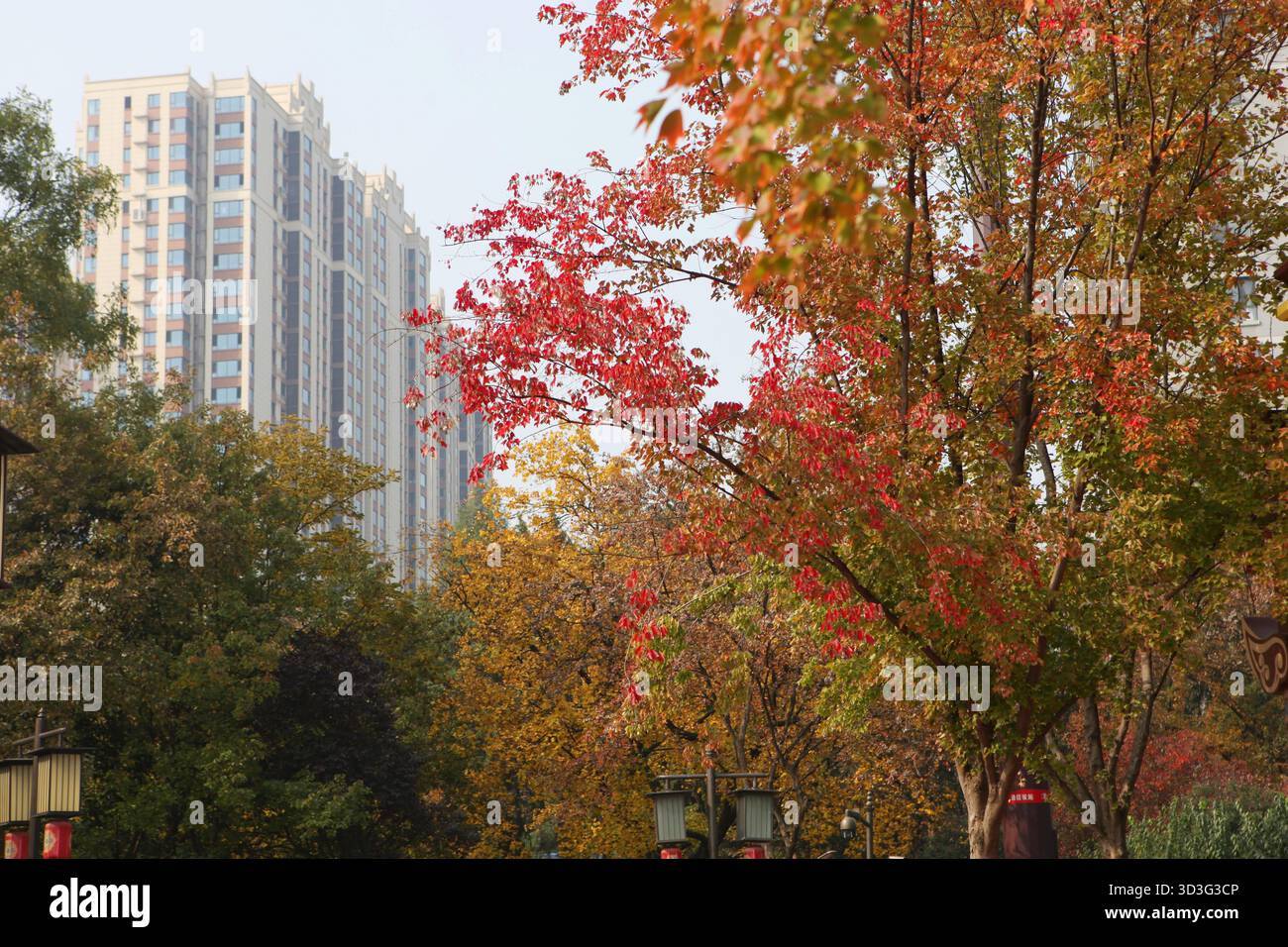 Autumn scenery at Xingqinggong Park in Xi'an City, northwest China's ...
