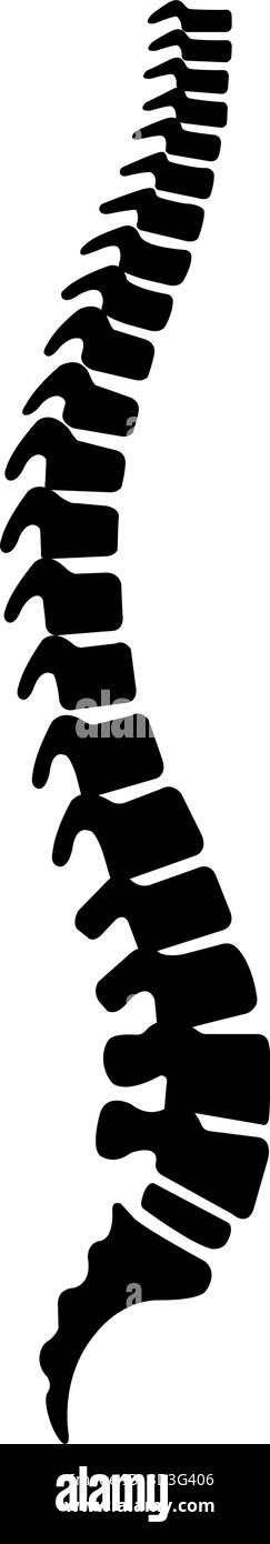 Structure human skull spinal Cut Out Stock Images & Pictures - Alamy