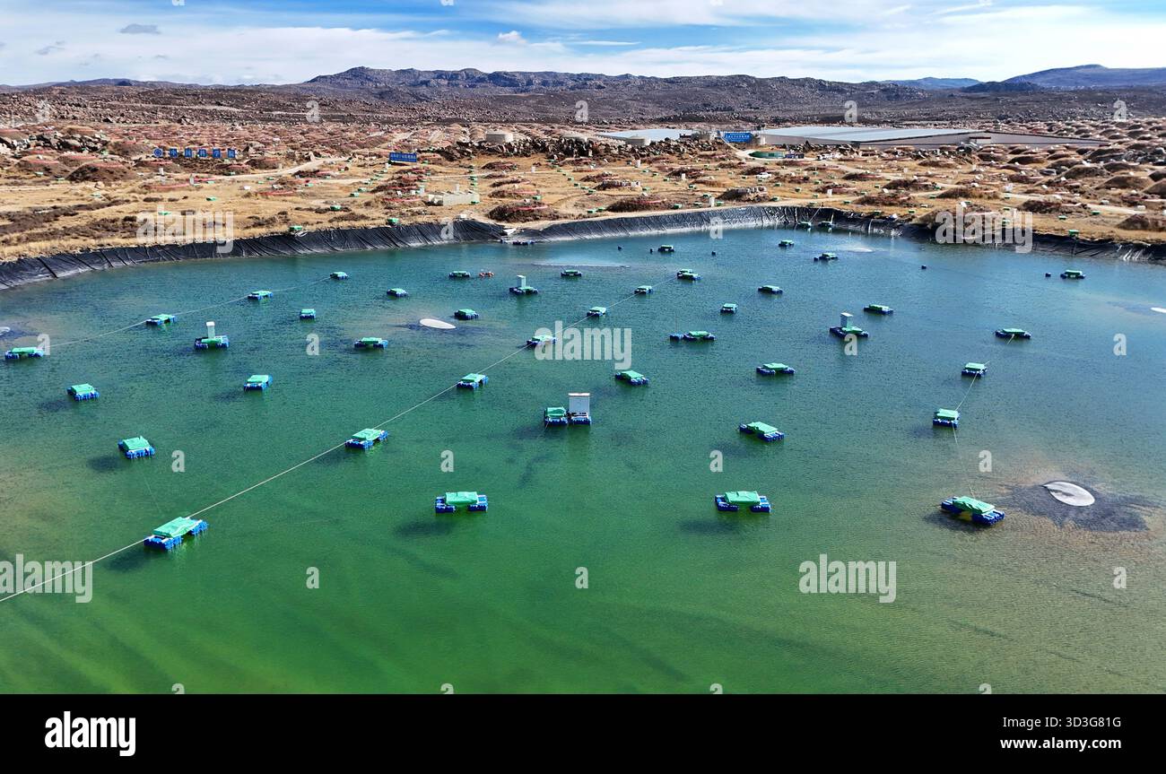 (251106) -- DAOCHENG, Nov. 6, 2025 (Xinhua) -- An aerial drone photo ...