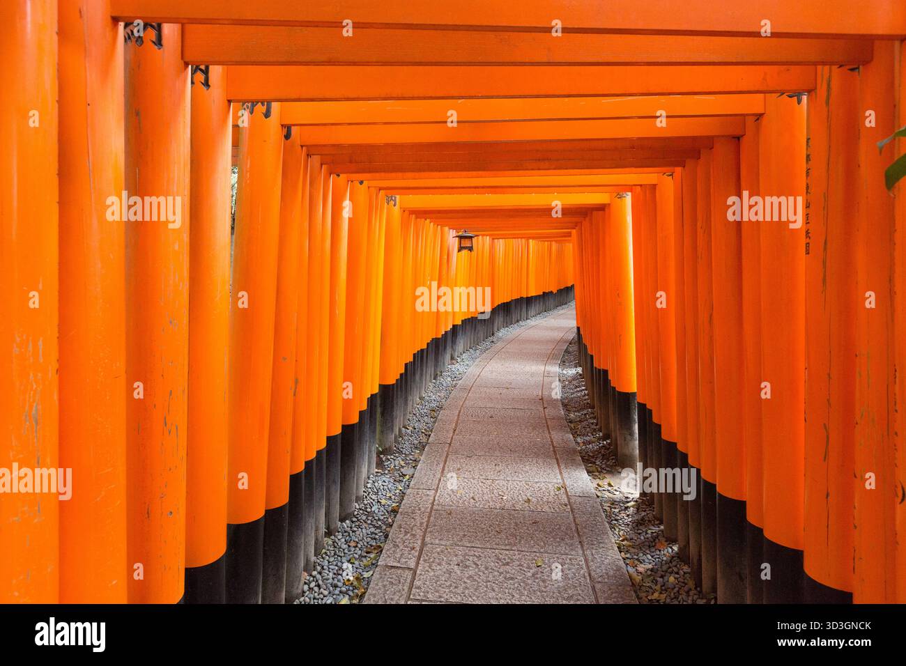 Fushimi inari taisha shinto hi-res stock photography and images - Alamy