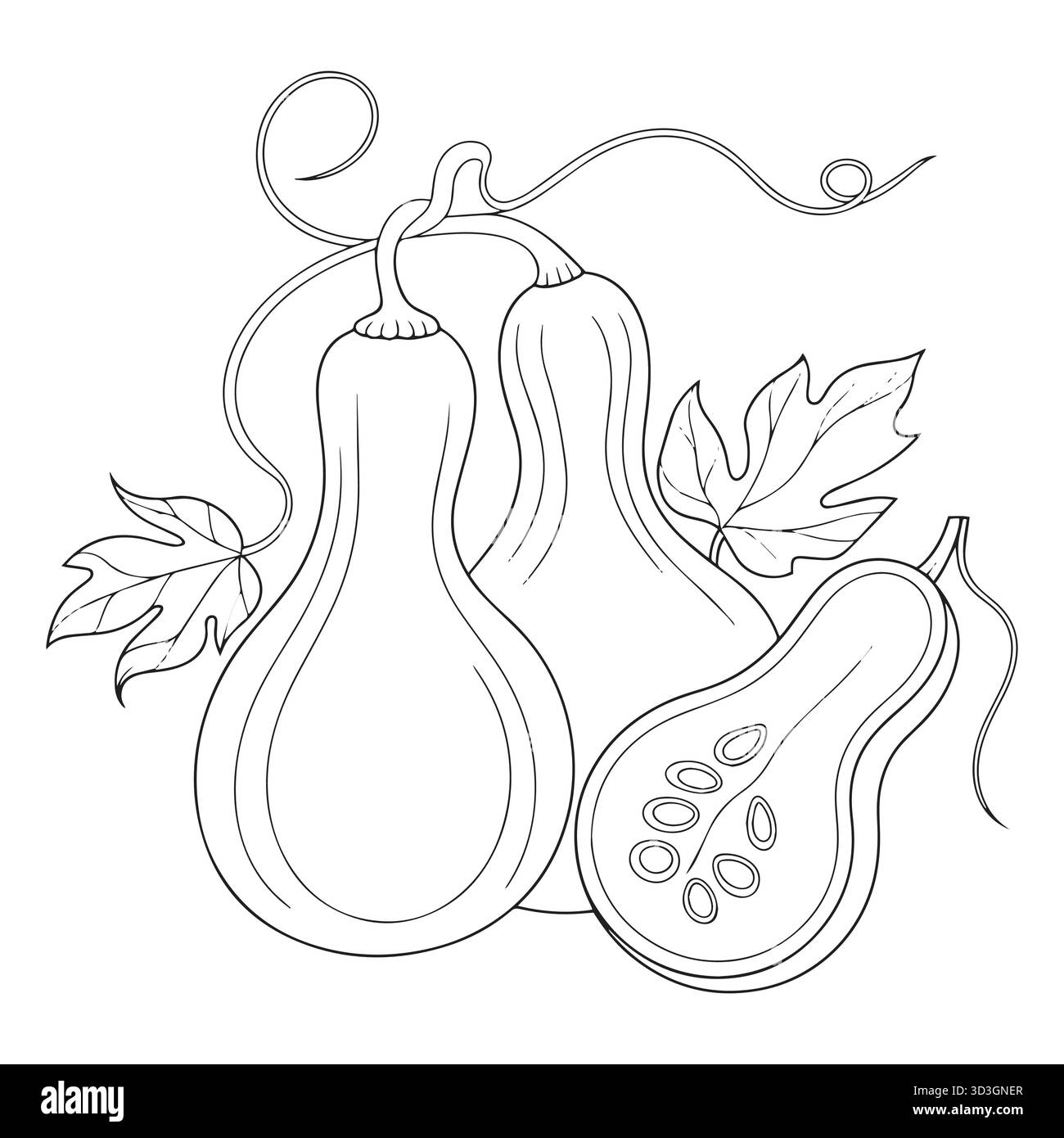 Bottle gourd warrior hi-res stock photography and images - Alamy