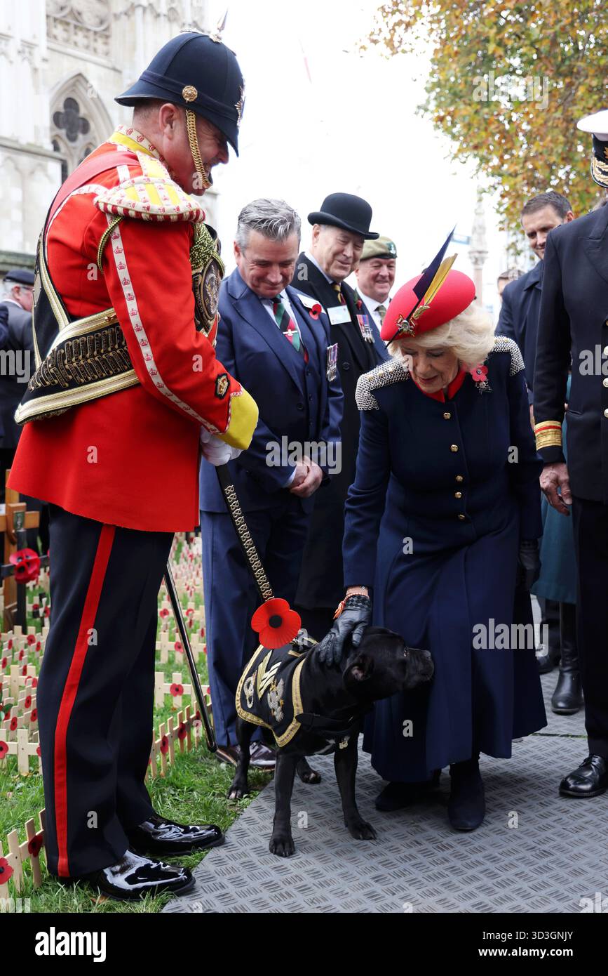 Queen Camilla pets a dog during a visit to the Field of Remembrance, at ...