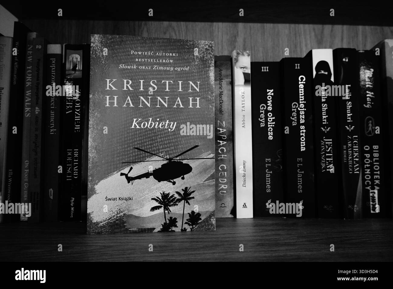 Book lover library Black and White Stock Photos & Images - Alamy