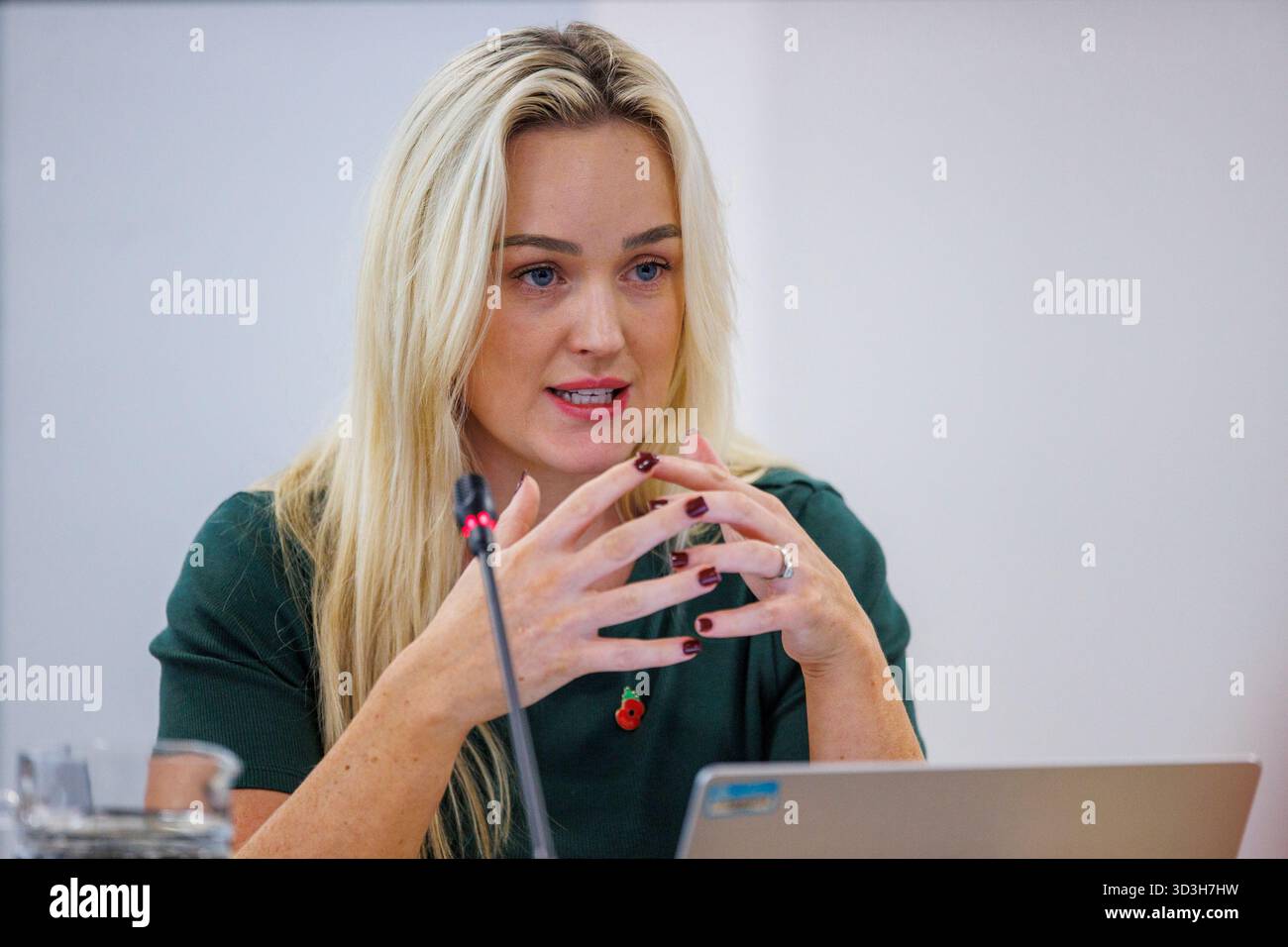 Northern Ireland Policing Board member Cheryl Brownlee MLA speaks ...