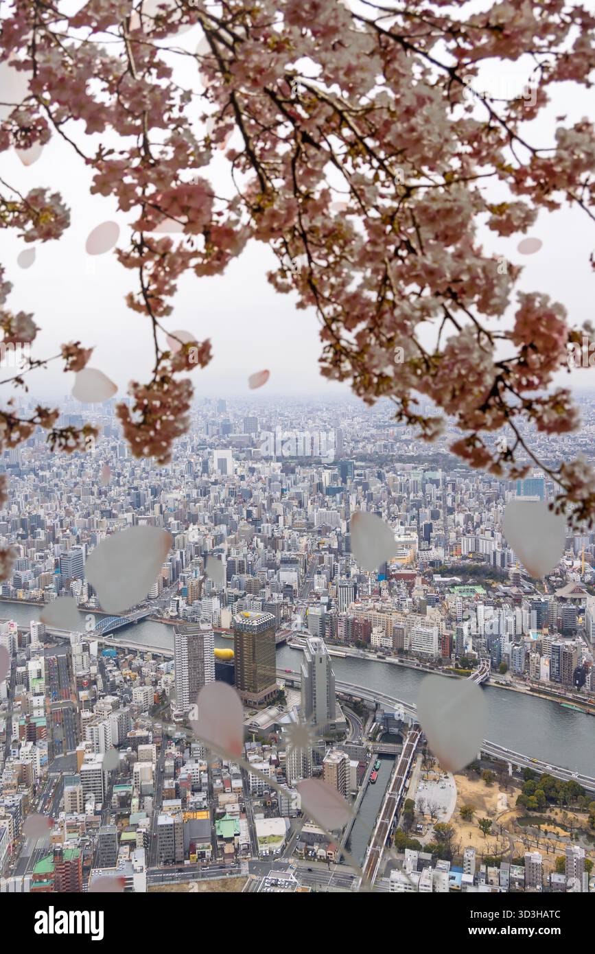 Birdview of Tokyo in Japan from the The Sakura Skytree tower. One of ...