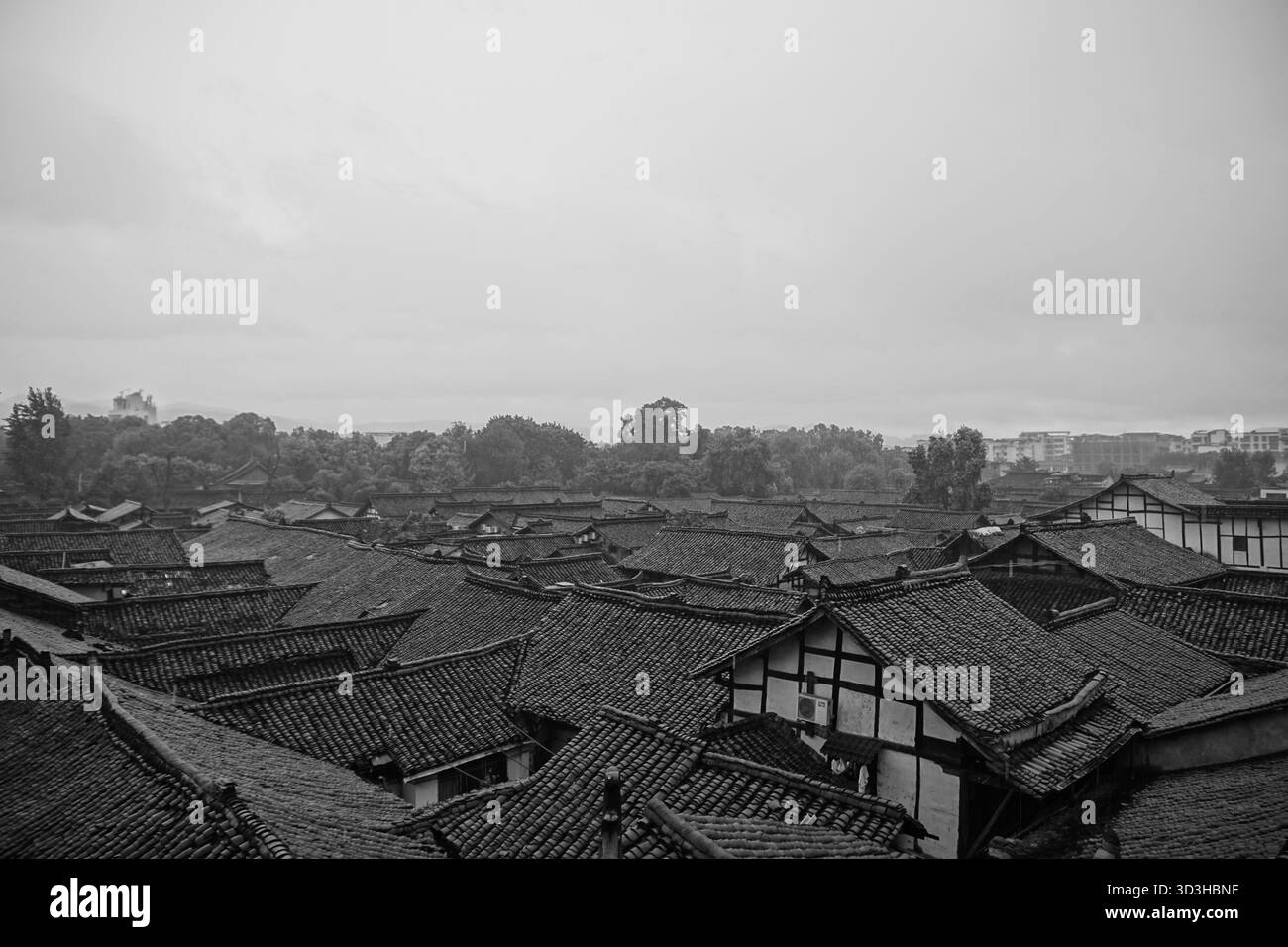 Memory overview Black and White Stock Photos & Images - Alamy