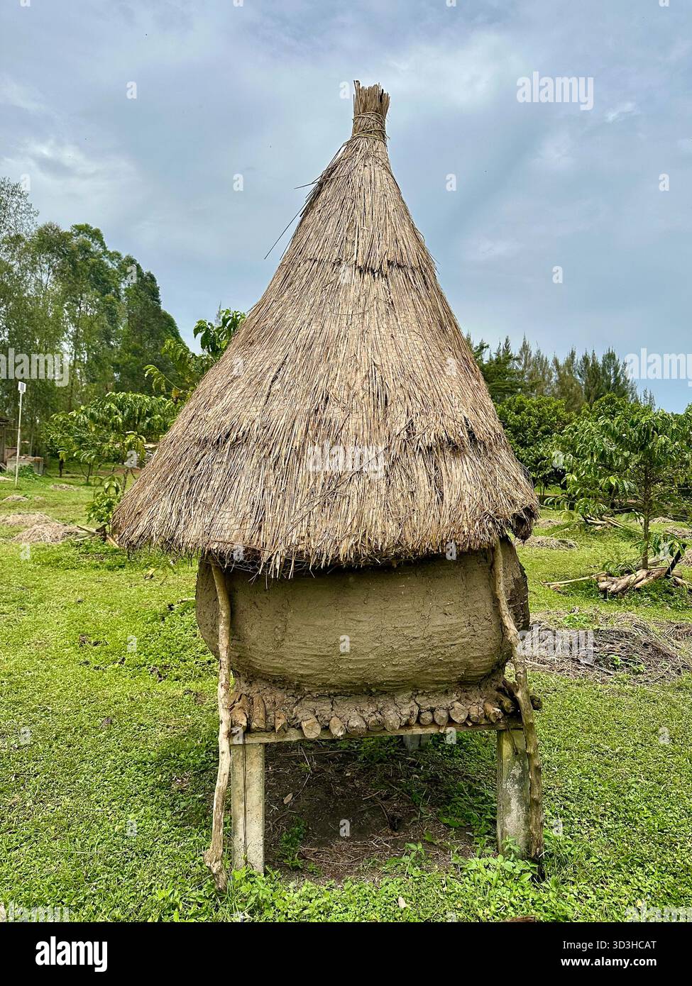 A traditional thatched-roof maize grain storage hut in Uganda, East ...