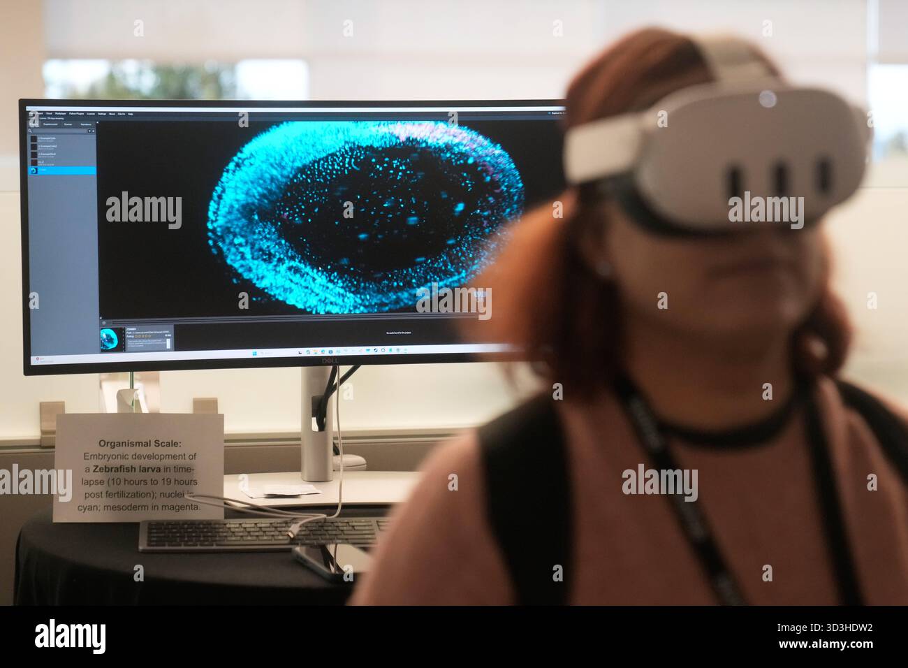 A reporter gets a demonstration of exploring cells with a Meta Quest 3 ...