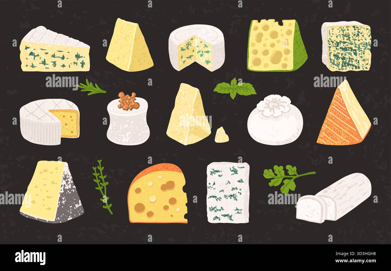 Cartoon style Cheese set illustration with grunge texture. Different ...