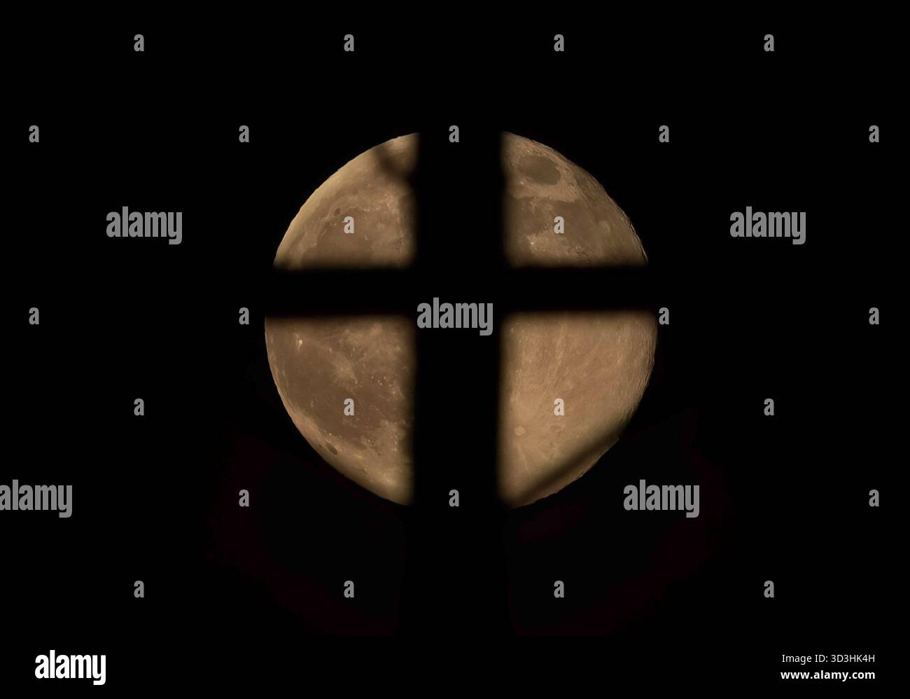 A full super moon, named the Beaver Moon, rises abpove downtown Ls ...