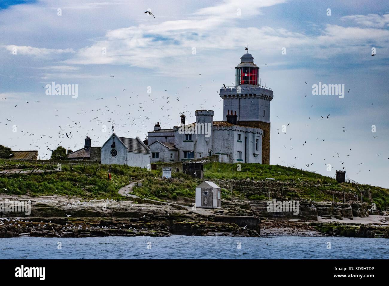 Coquet Island Amble Stock Photo - Alamy