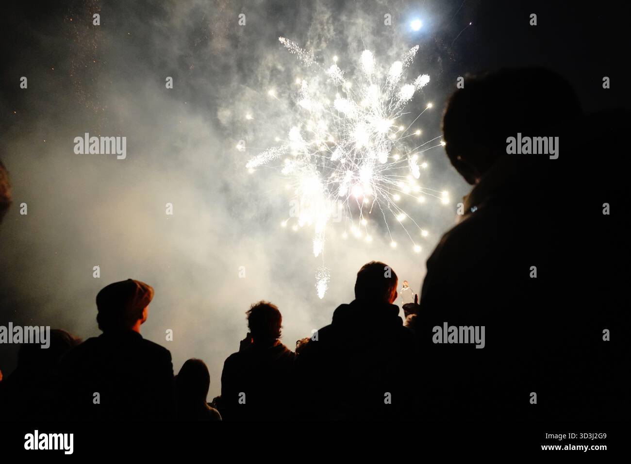 In Lewes, six (of originally seven) local Bonfire Societies will lead ...