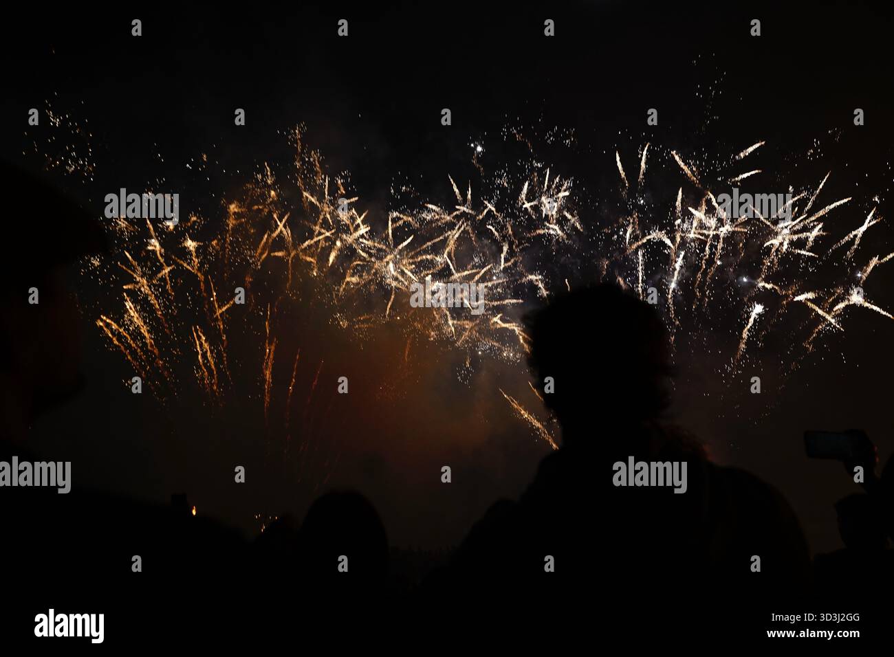 In Lewes, six (of originally seven) local Bonfire Societies will lead ...