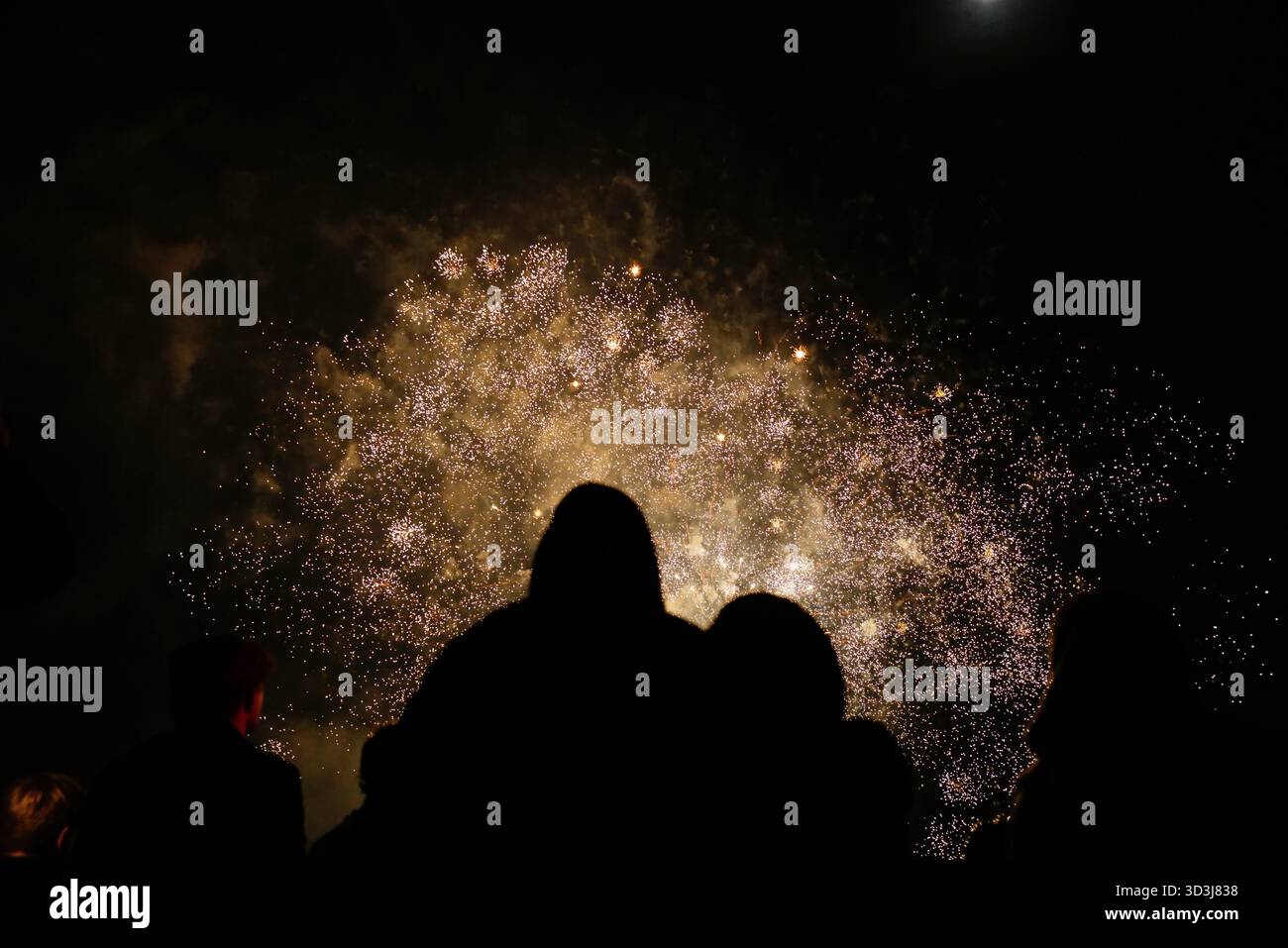 In Lewes, six (of originally seven) local Bonfire Societies will lead ...