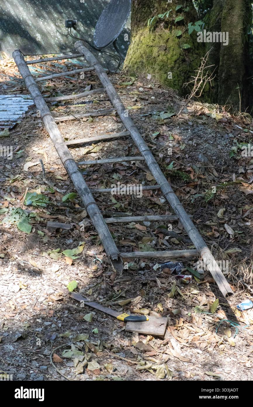 old ladder made from Bamboo left on the ground in Darjeeling, India ...