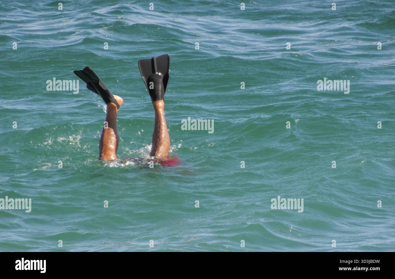 A snorkeler's legs with flippers extend above turquoise waves, creating ...