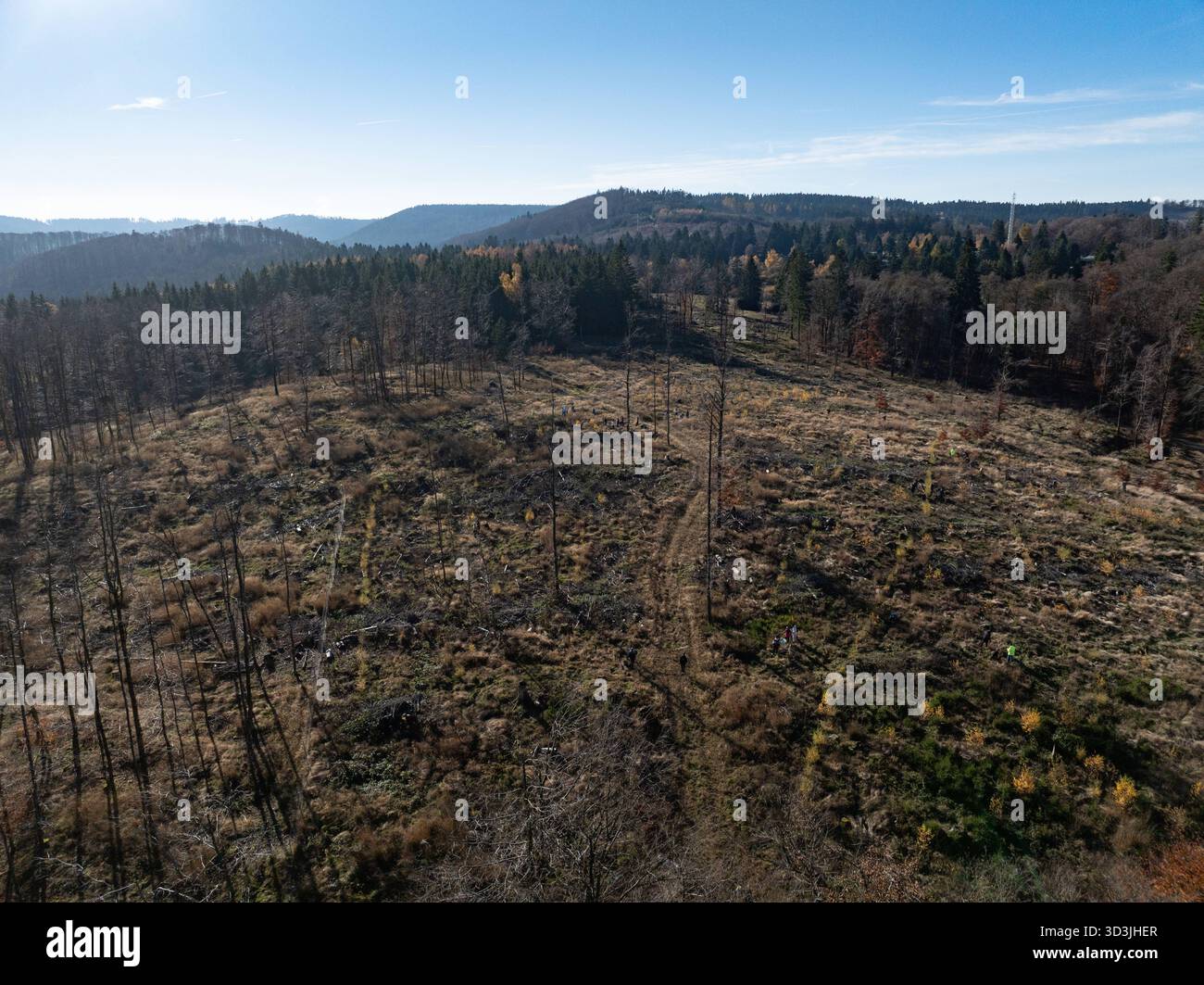 Thueringer Wald im Herbst 06112025 - Der Thueringer Wald nahe der ...