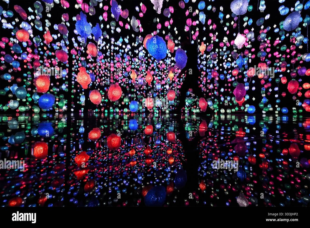 Installation by Swiss artist Pipilotti Rist at the National Museum of ...