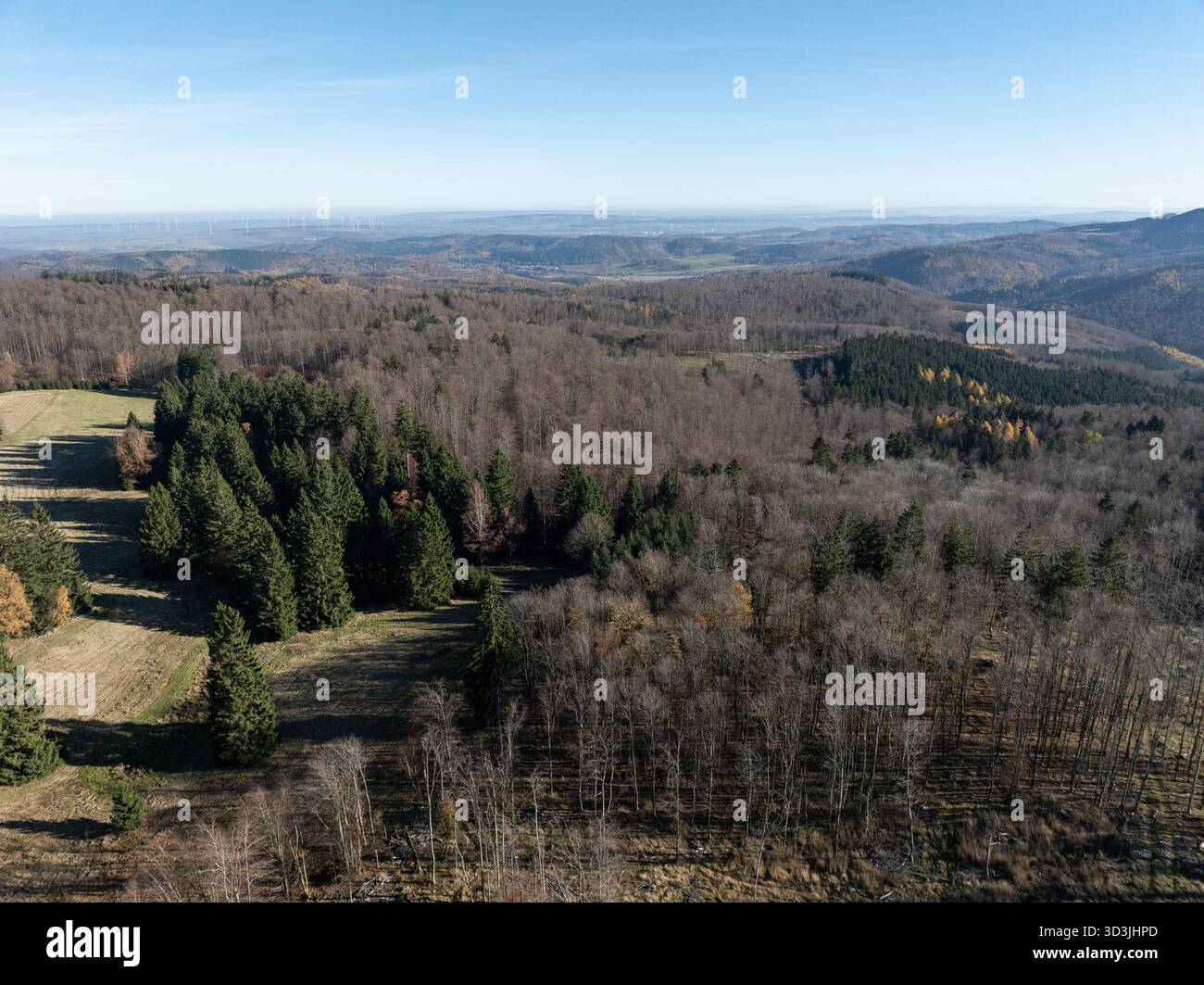 Thueringer Wald im Herbst 06112025 - Der Thueringer Wald nahe der ...