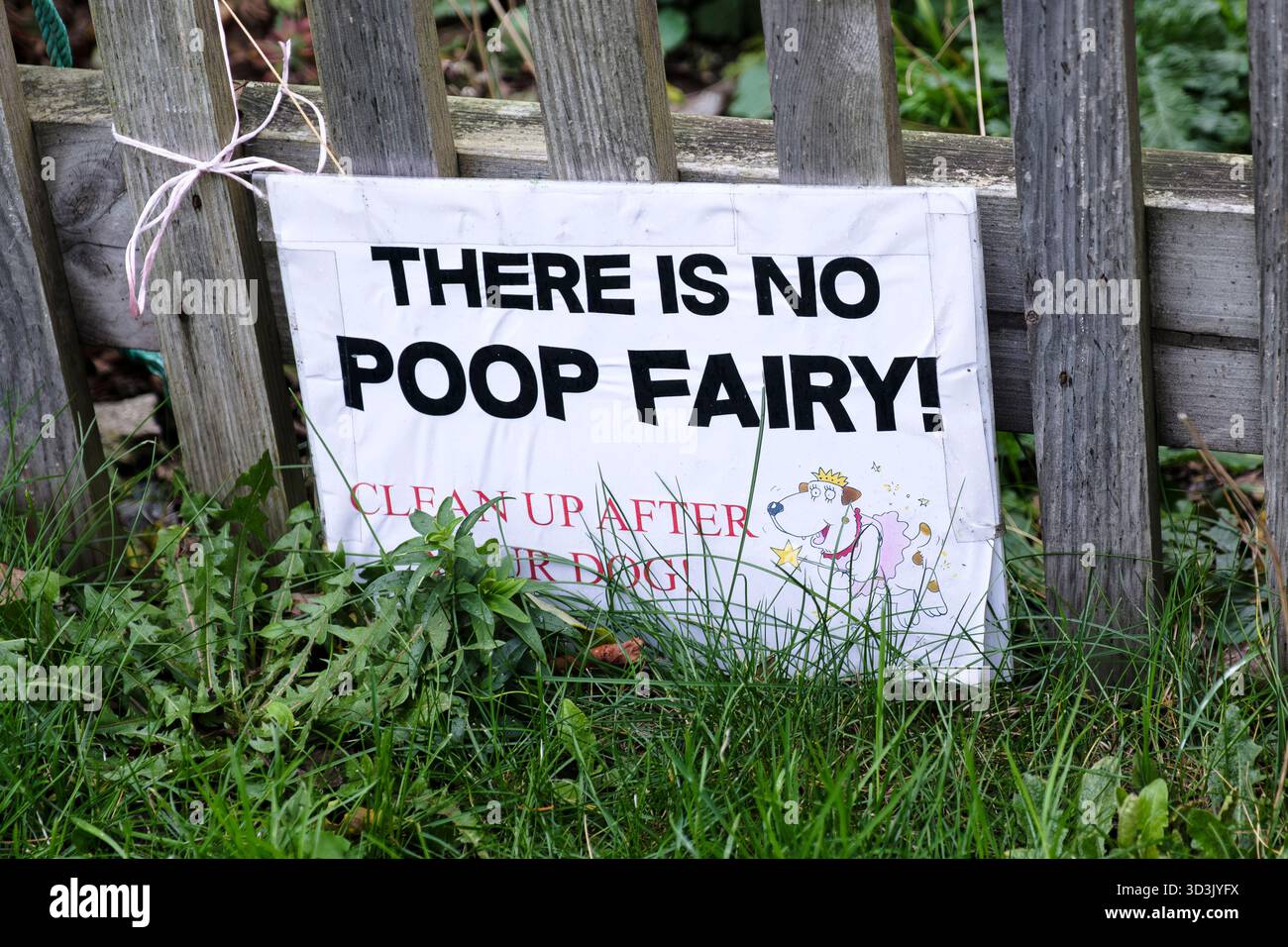 A There is ni Poop Fairy sign on a grassy verge in Corsham Wiltshire UK ...