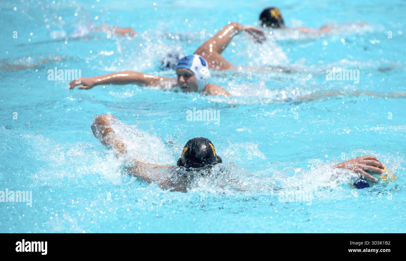 Athletes in swimming pool playing water polo. Aquatic sport ...