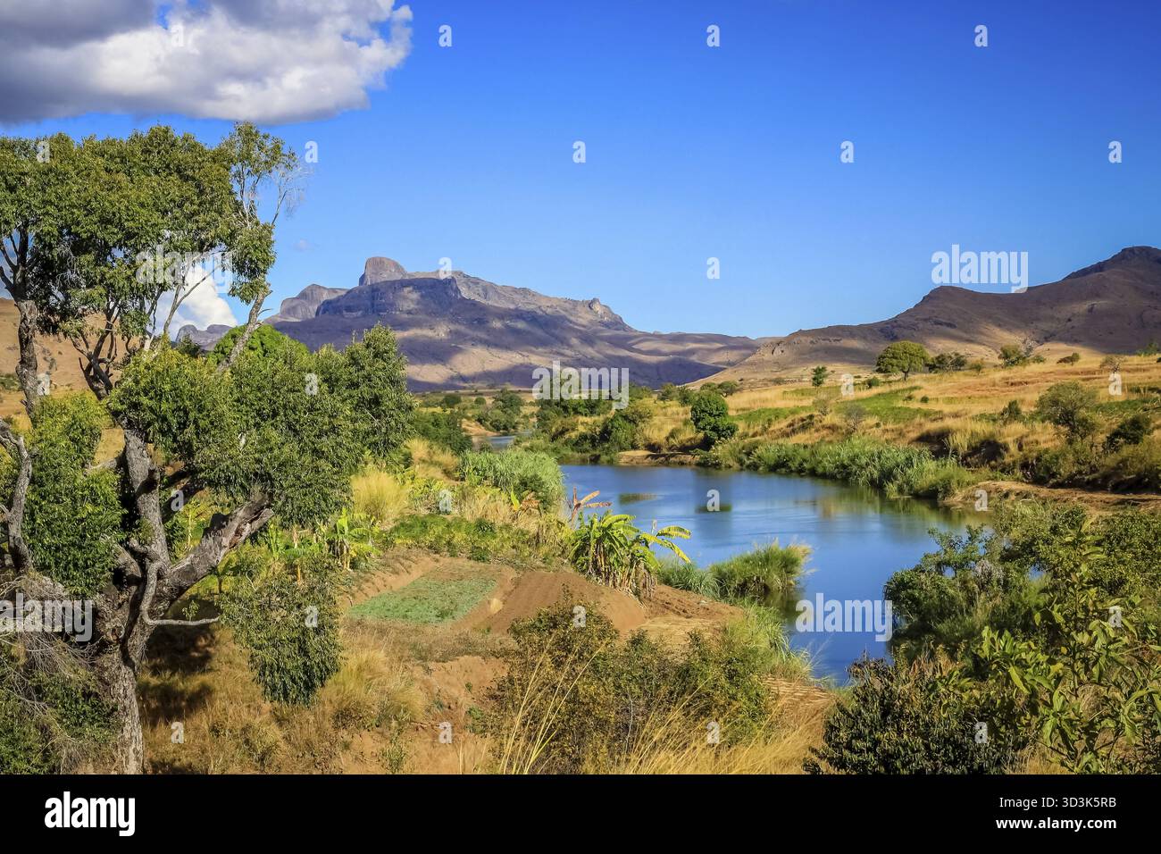 Madagaskar river hi-res stock photography and images - Alamy