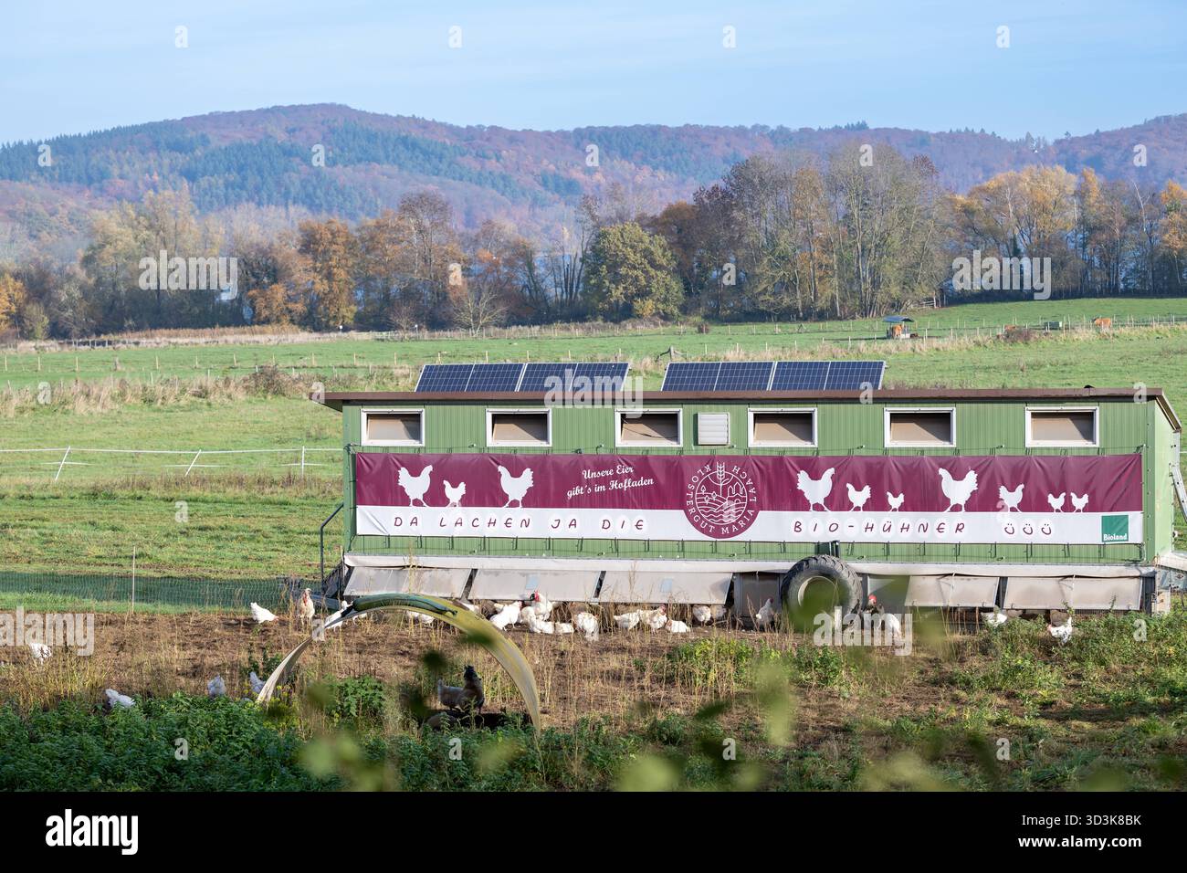 06.11.2025, Fruehmorgendlicher sonniger Herbst am Laacher See, Da ...