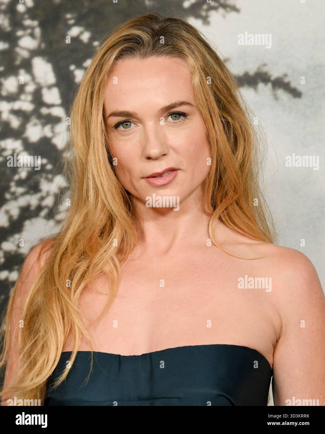November 3, 2025, Hollywood, California, USA: Irish actress KERRY ...