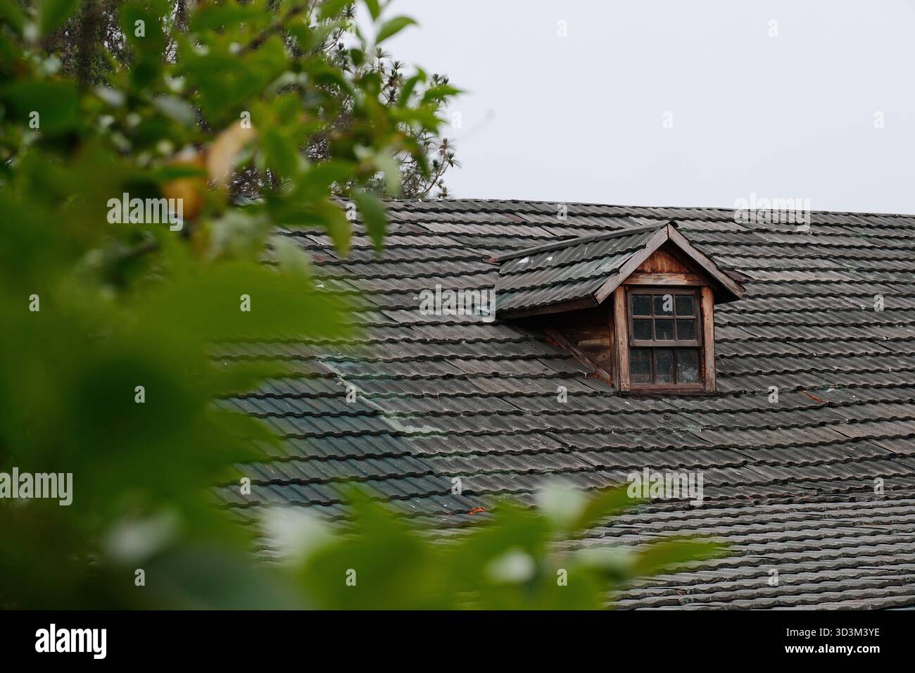 Old Wooden Dormer Window on Tiled Roof Stock Photo - Alamy