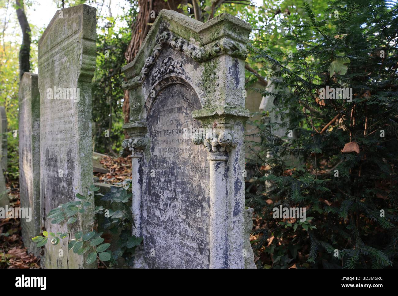 Autumn in Tower Hamlets historic Cemetery park, where 350 000 people ...