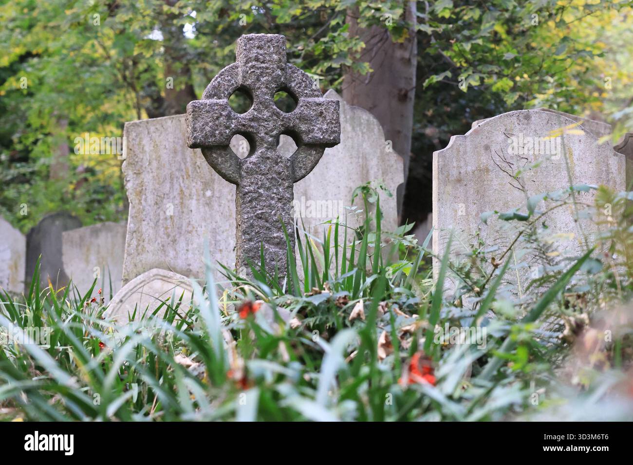 Autumn in Tower Hamlets historic Cemetery park, where 350 000 people ...