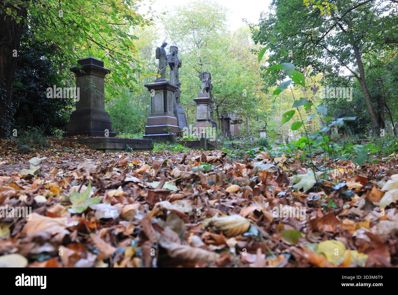 Autumn in Tower Hamlets historic Cemetery park, where 350 000 people ...