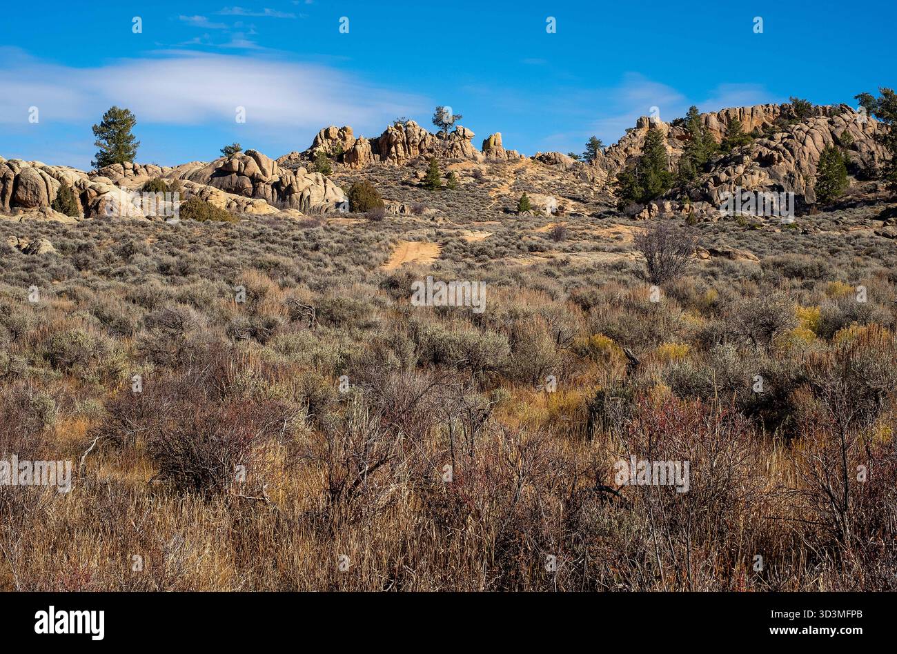 November 06, 2025: Unusually warm November temperatures bring deep blue ...