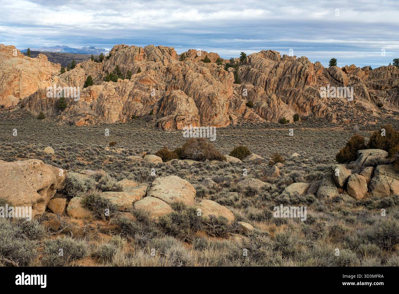 November 06, 2025: Unusually warm November temperatures bring softening ...