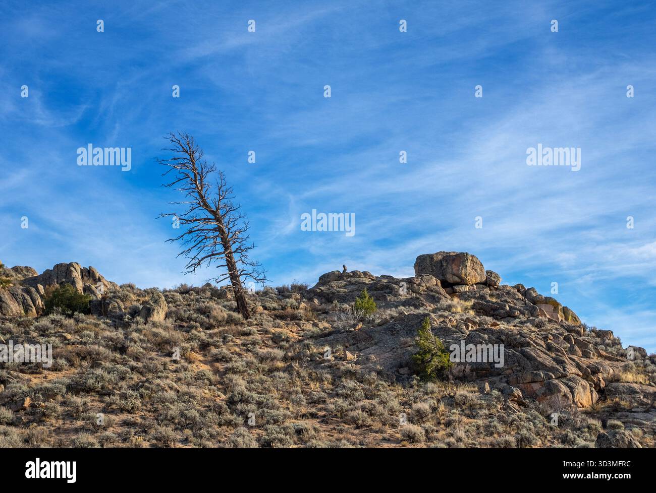 November 06, 2025: Unusually warm November temperatures bring deep blue ...