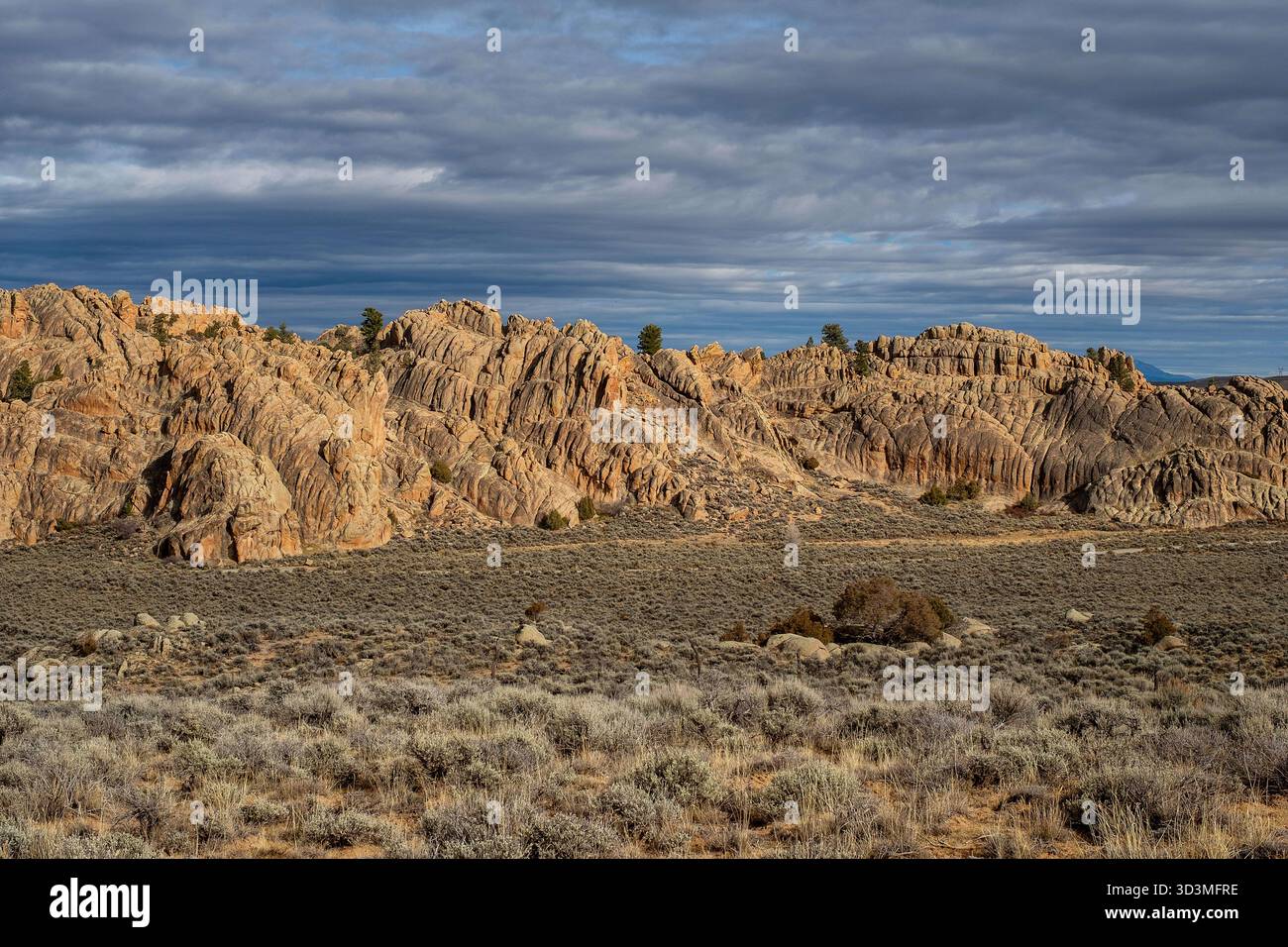 November 06, 2025: Unusually warm November temperatures bring softening ...
