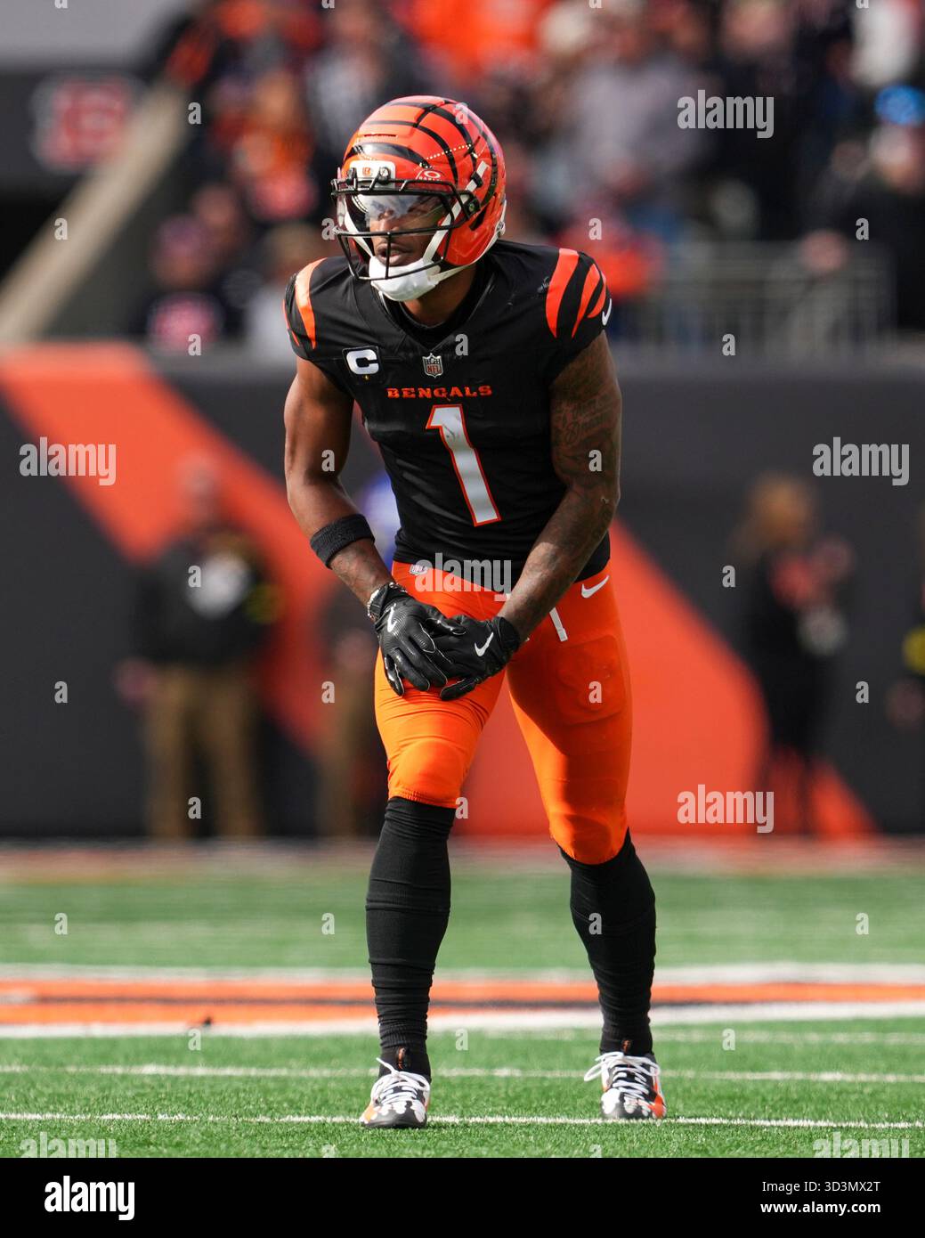Cincinnati Bengals wide receiver Ja'Marr Chase (1) looks on during an ...