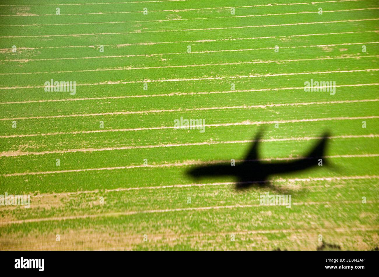 Harvesting the cotton fields. Chihuahua, Mexico Stock Photo - Alamy