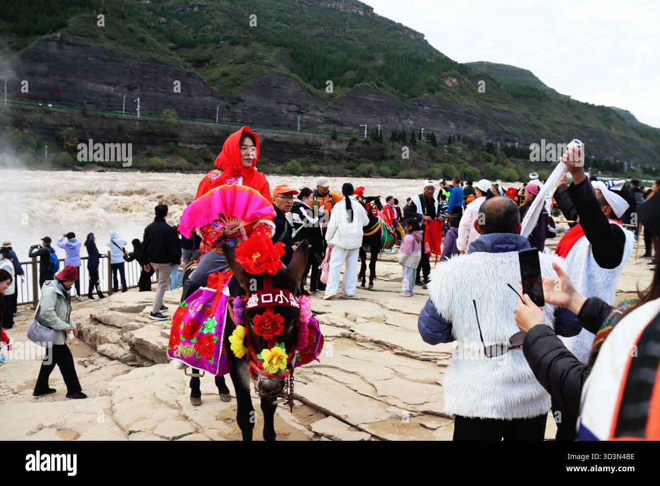 LINFEN, CHINA - OCTOBER 17, 2025 - A woman rides a donkey to take a ...