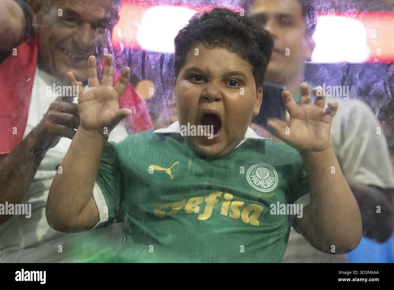 SP - SAO PAULO - 06/11/2025 - BRAZILIAN CHAMPIONSHIP A 2025, PALMEIRAS ...