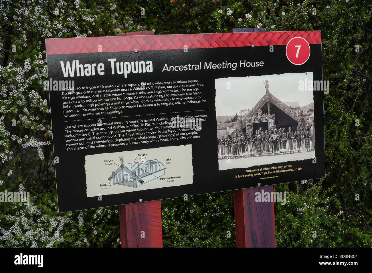 Maori tupuna whare hi-res stock photography and images - Alamy