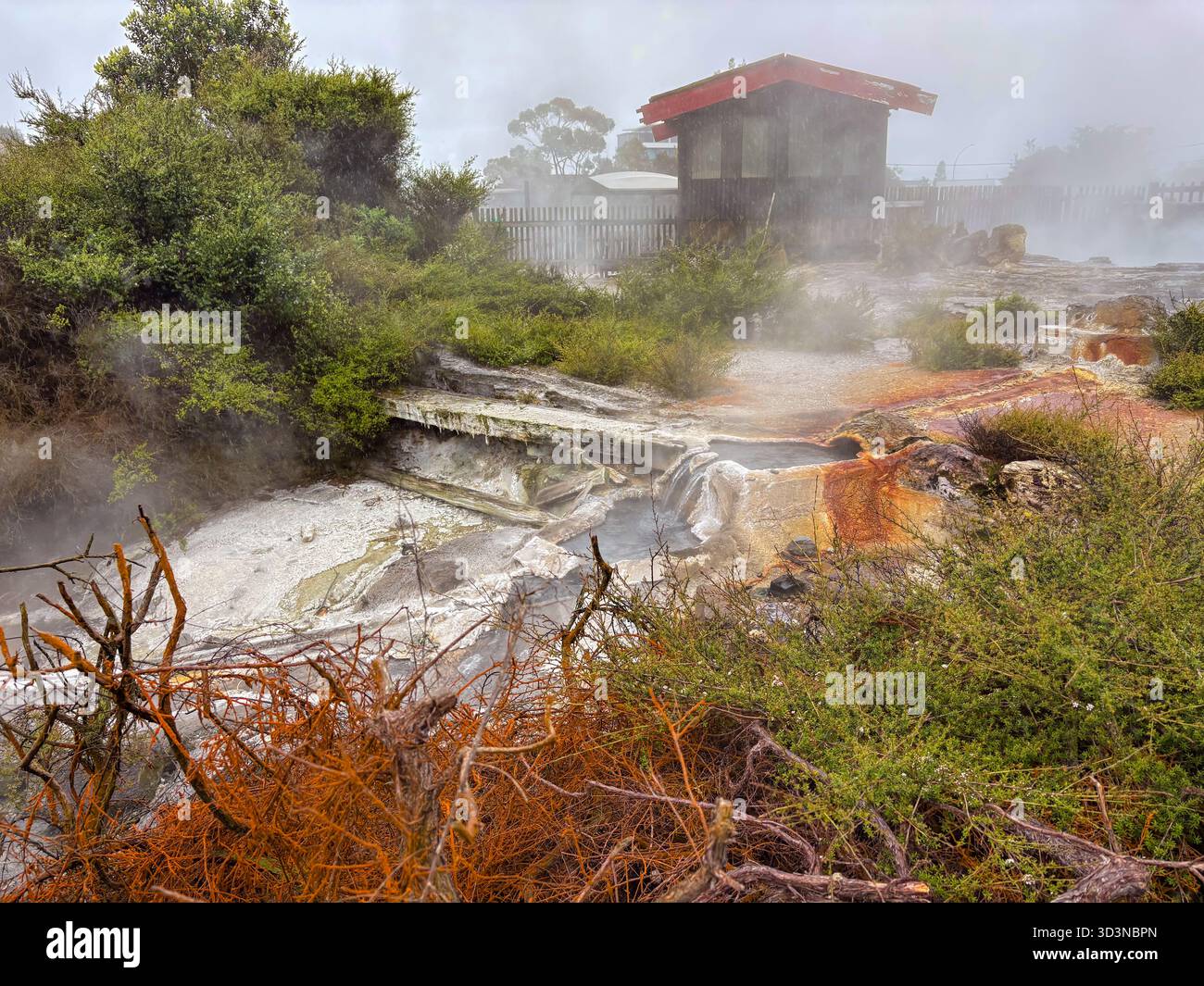 Whakarewarewa, Rotorua's living Māori village, showcases an active ...