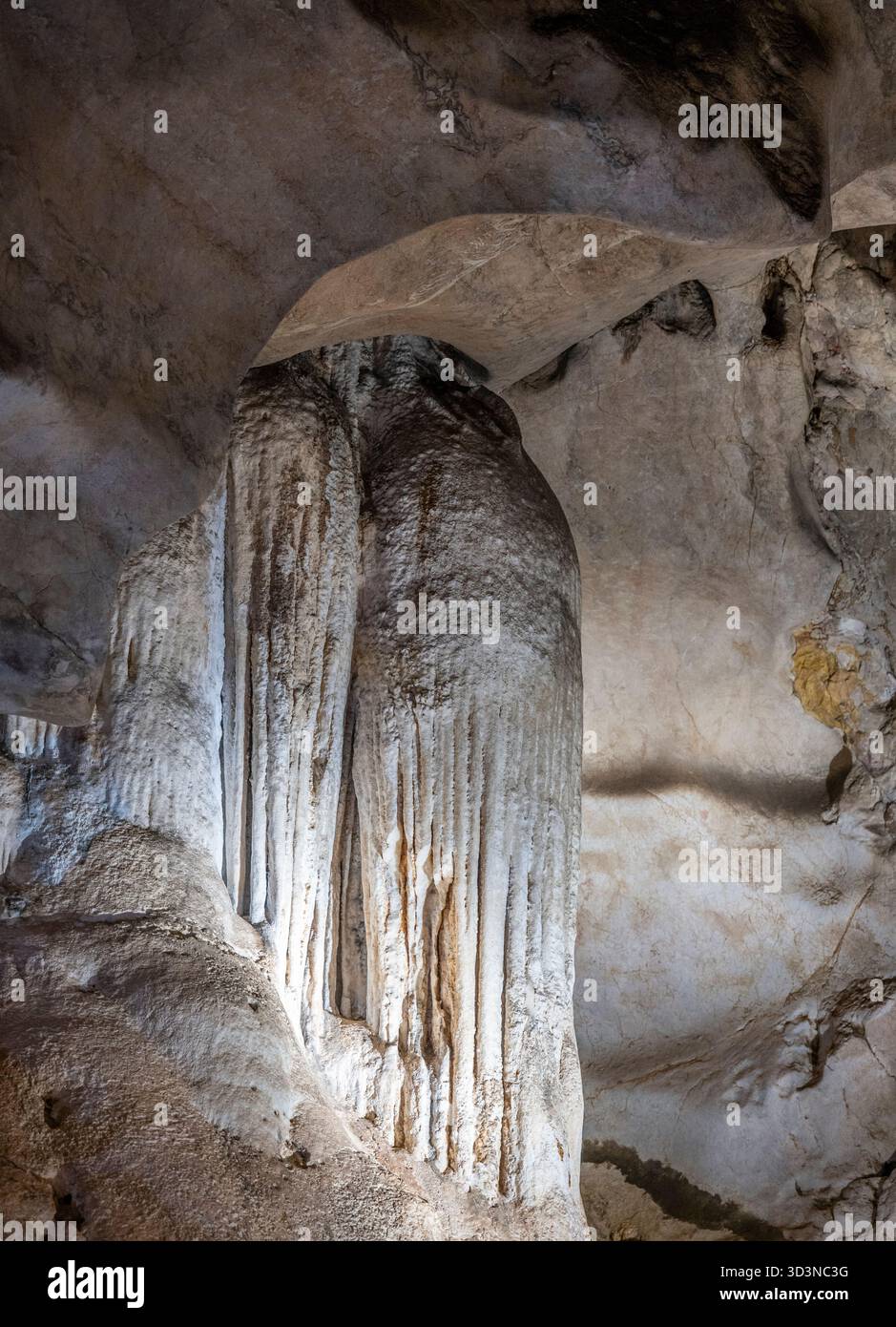 The Wellington Caves in central west New South Wales, Australia Stock ...