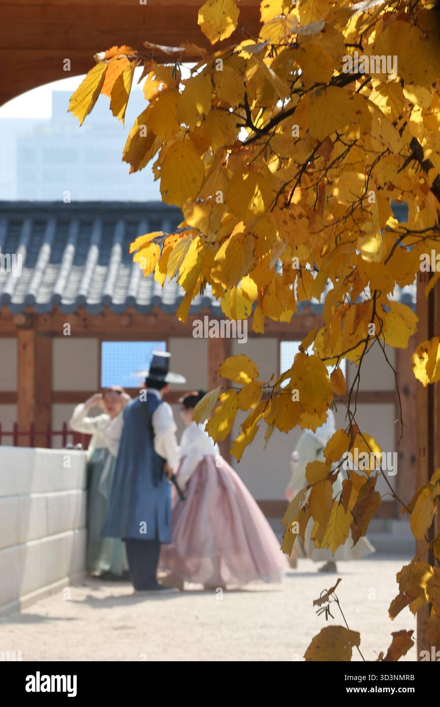 Autumn leaves in Seoul Visitors walk on the premises of Gyeongbok ...