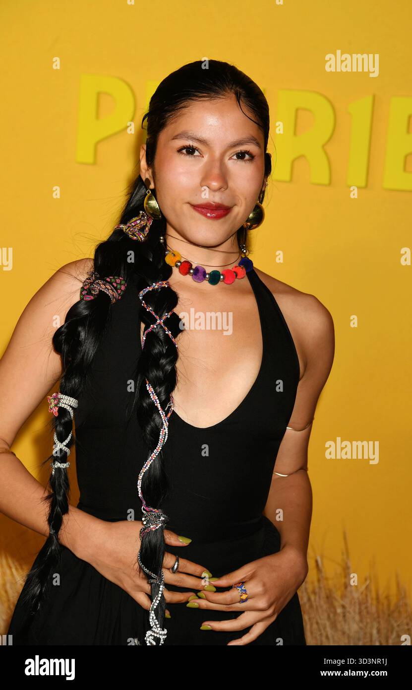LOS ANGELES, CALIFORNIA - NOVEMBER 04: Darinka Arones at the world ...