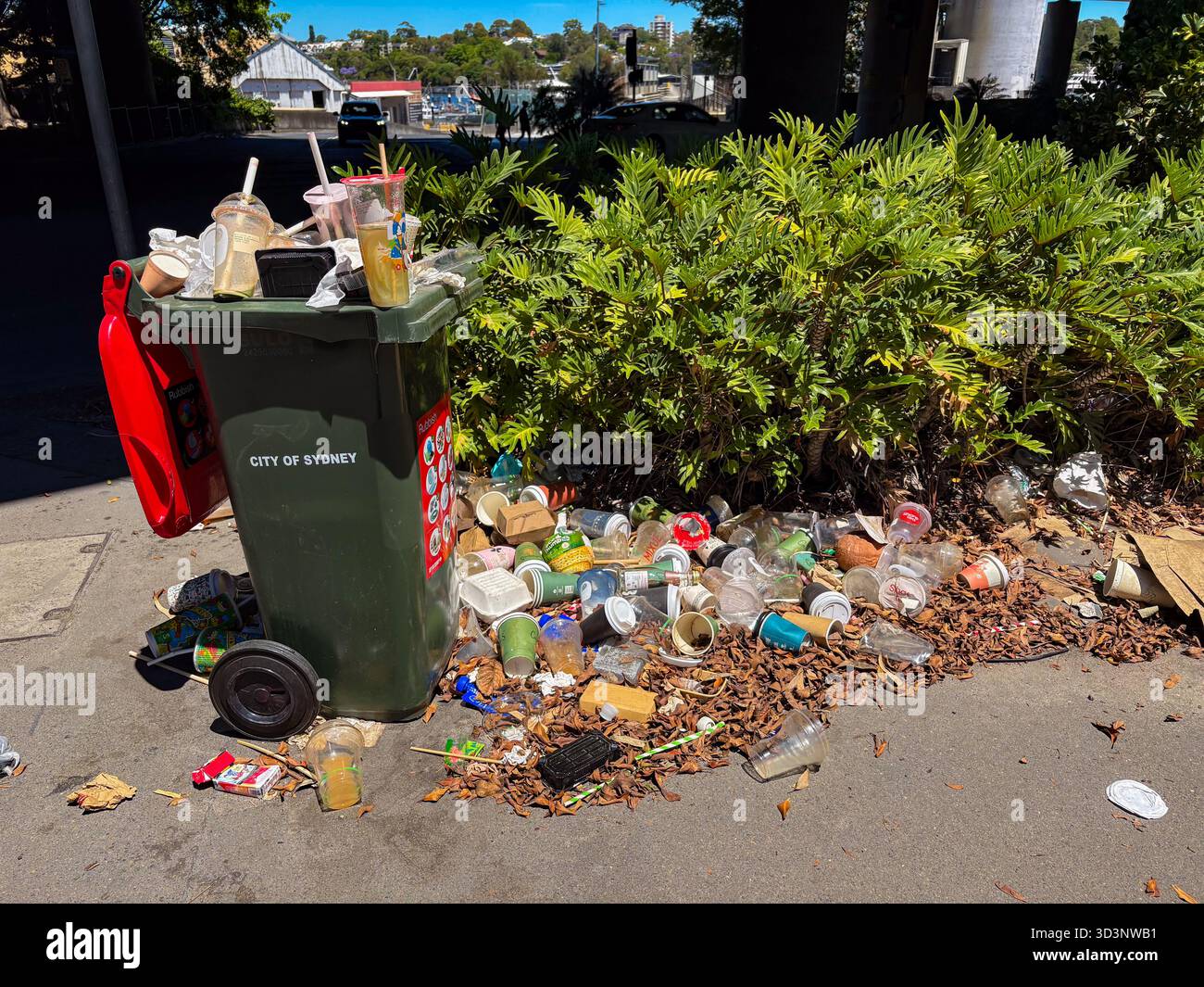 An overflown public green rubbish bin, labeled "CITY OF SYDNEY ...