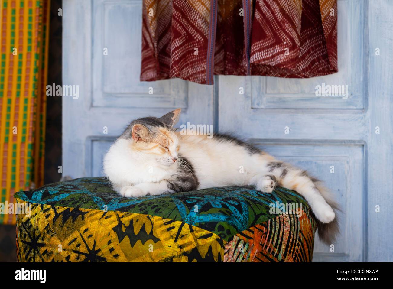 A relaxed cat napping on a colorful textile seat in Morocco. A calico ...