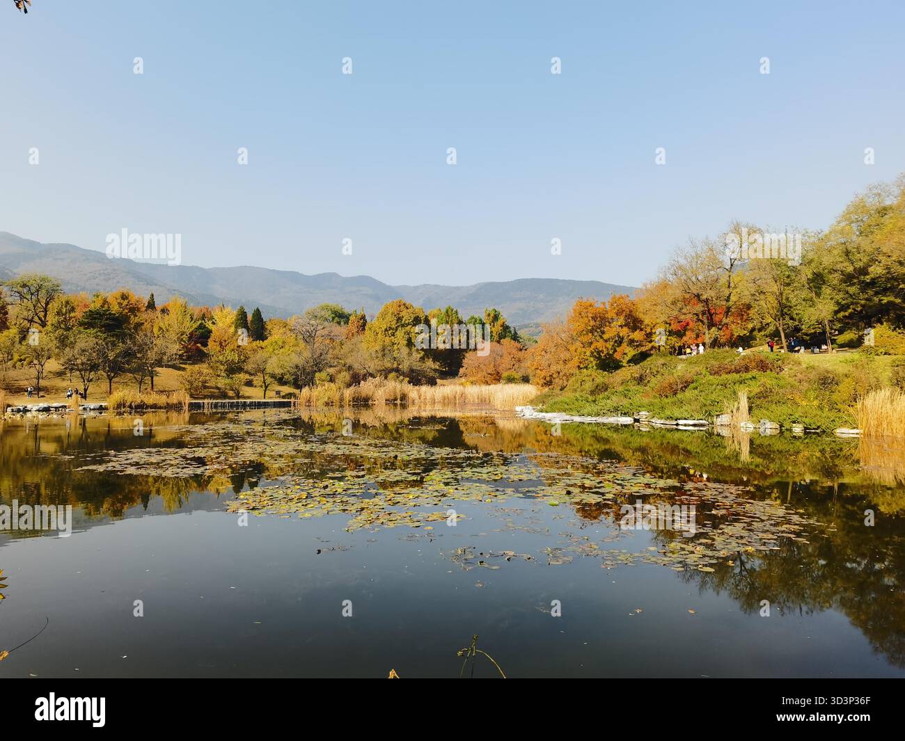 Autumn scenery of the China National Botanical Garden in Beijing, China ...