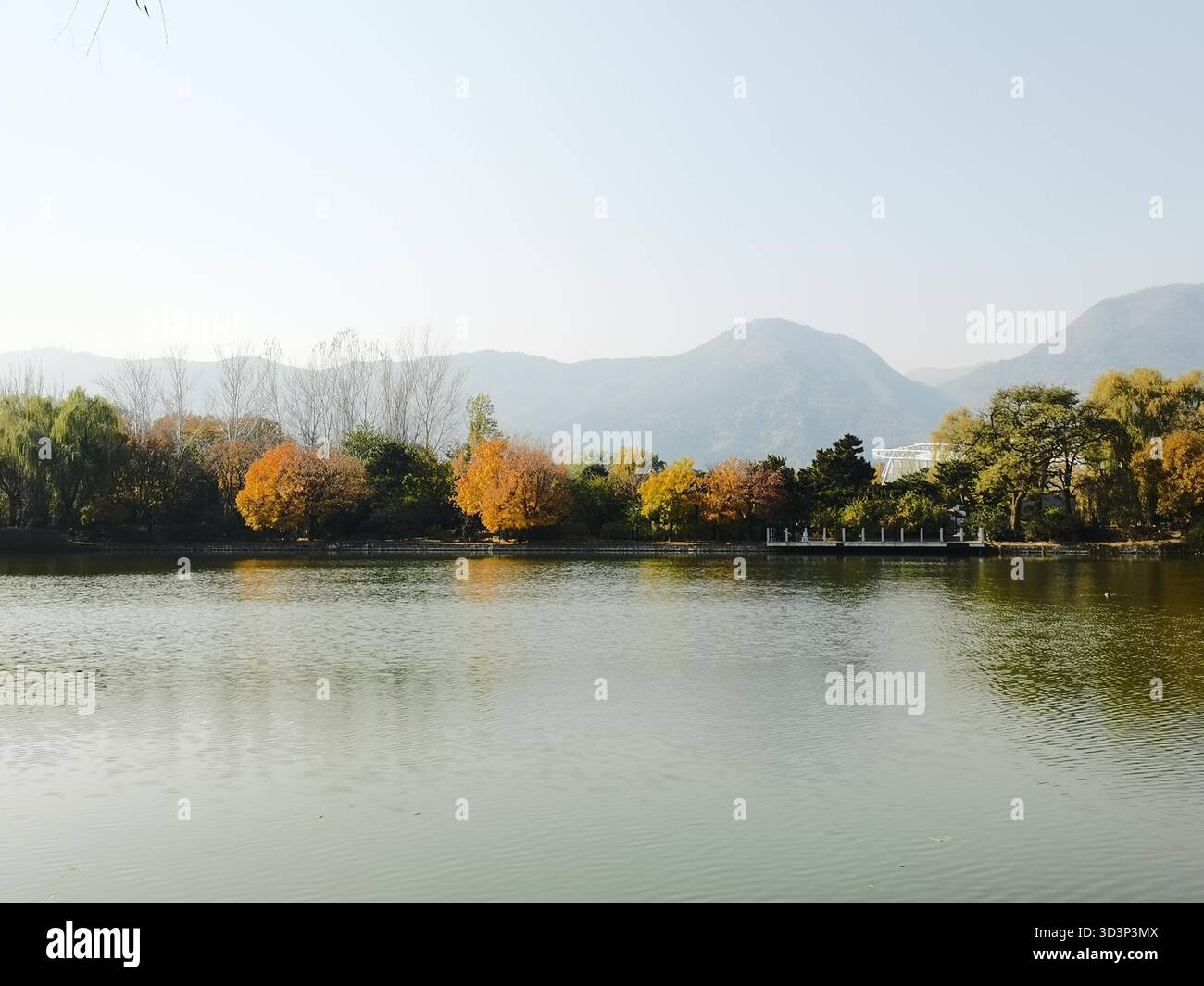 Autumn scenery of the China National Botanical Garden in Beijing, China ...