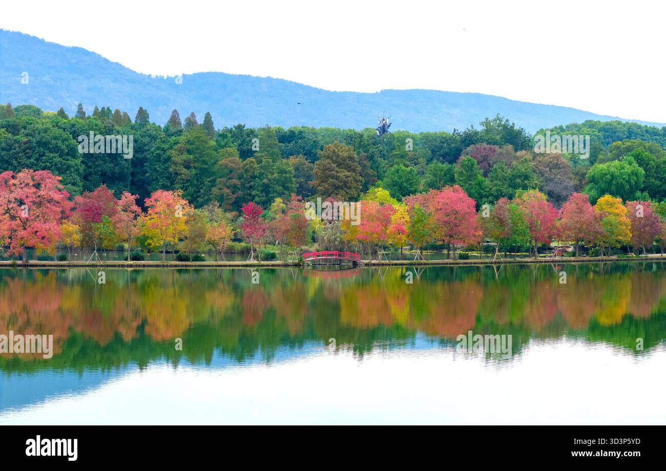 Autumn scenery of a botanical garden in Nanjing City, east China's ...